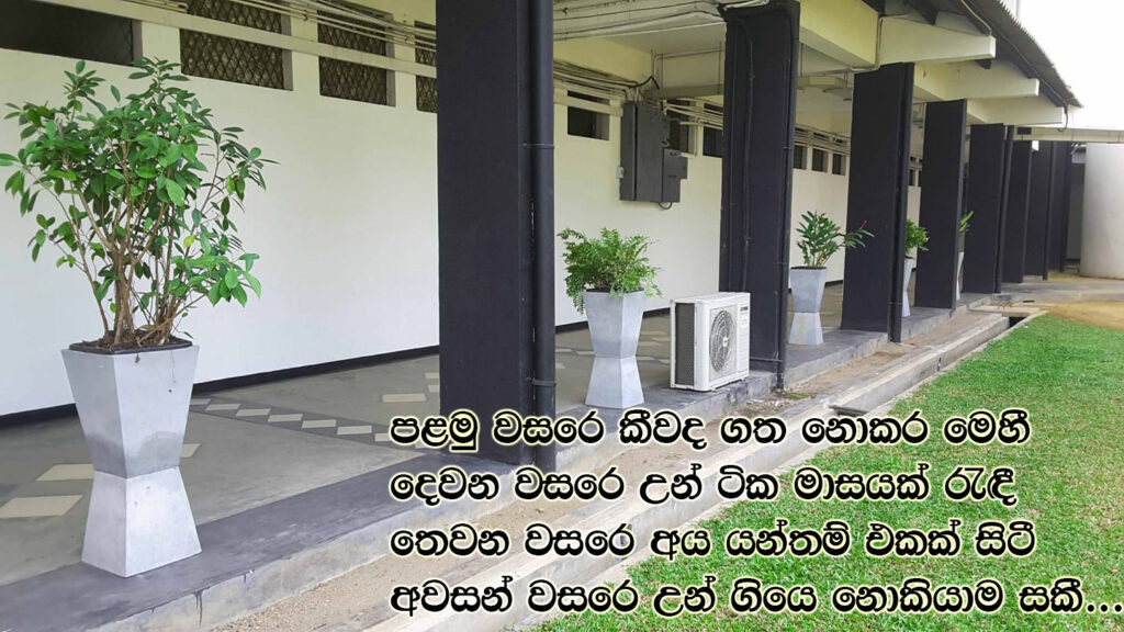 කුරුටු ගී – ePanhinda