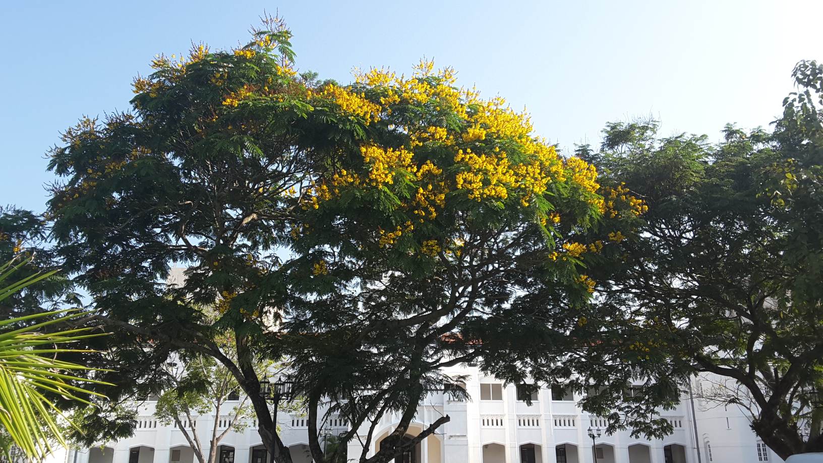 Photo Gallery – ePanhinda